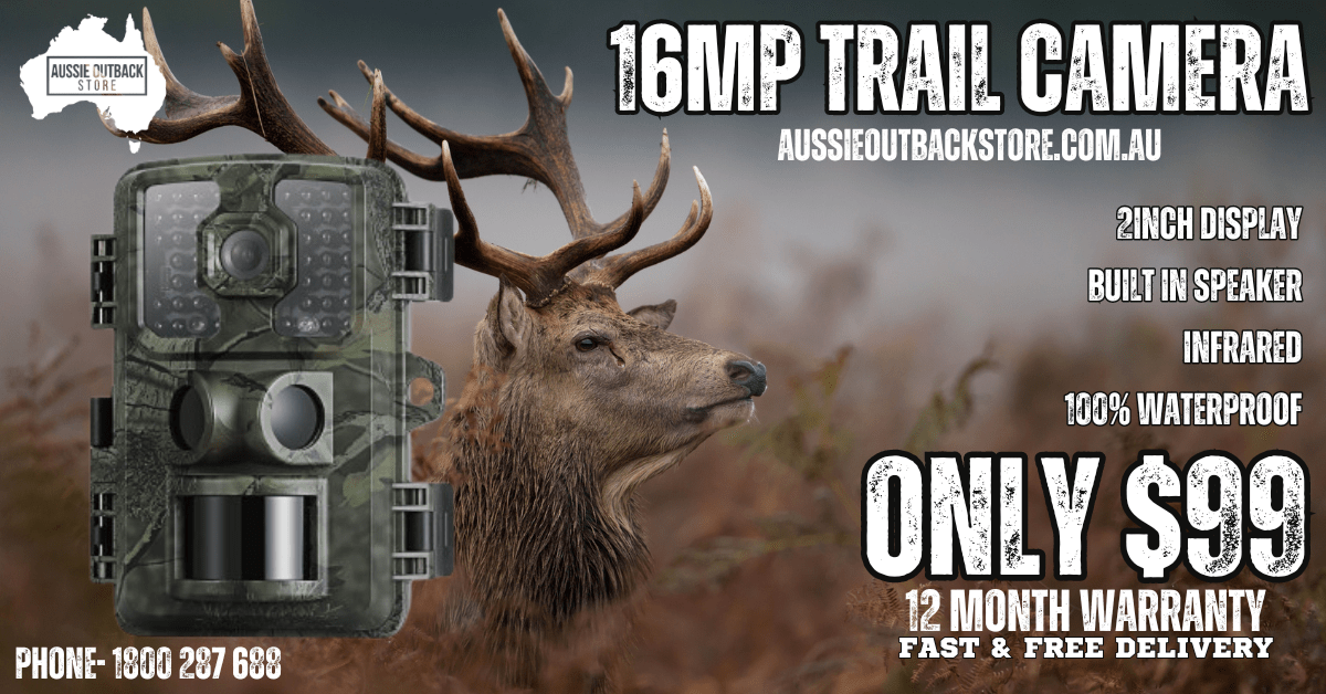 Trail Camera 4K 16MP Wildlife Game Hunting Security Cam PIR Night Visi ...